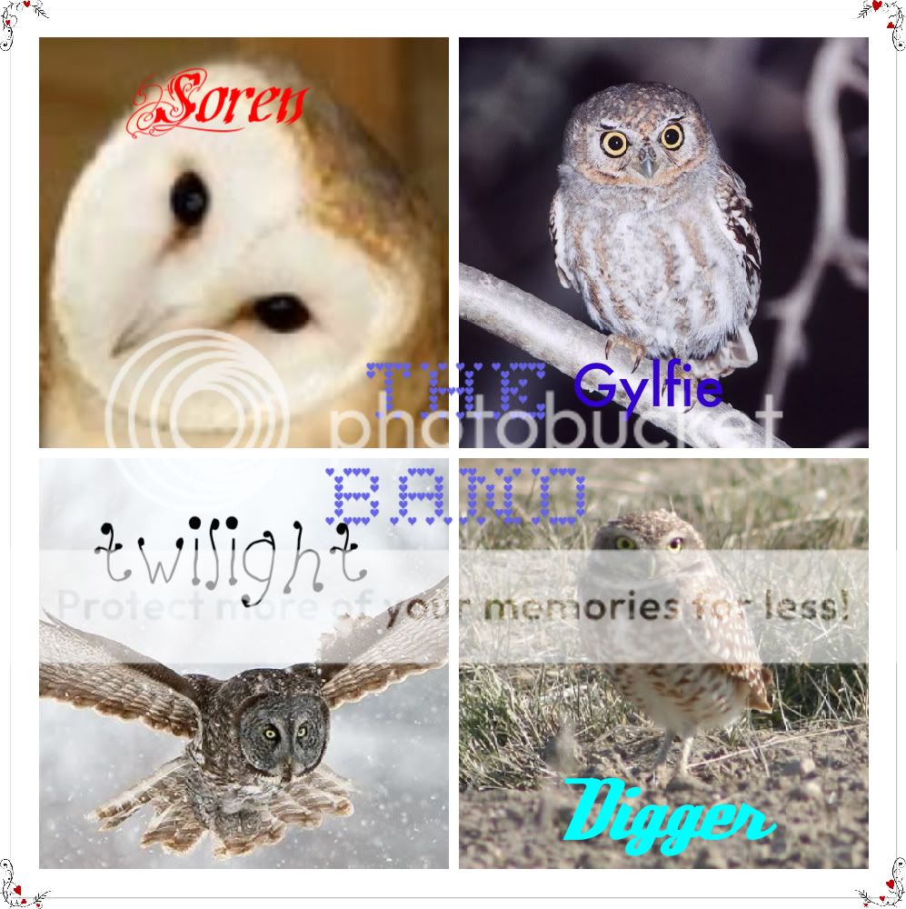 View topic - Guardians of Ga'Hoole Fan Club (Moderator Search Pg. 24 ...